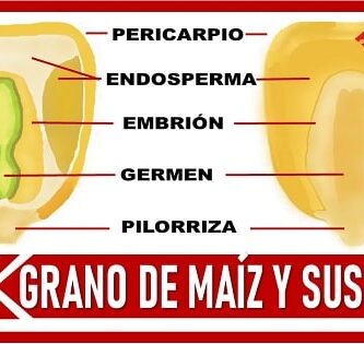 Y sus partes - Partes y elementos que componen un todo