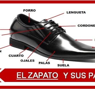 Y sus partes - Partes y elementos que componen un todo