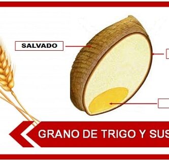 Y sus partes - Partes y elementos que componen un todo